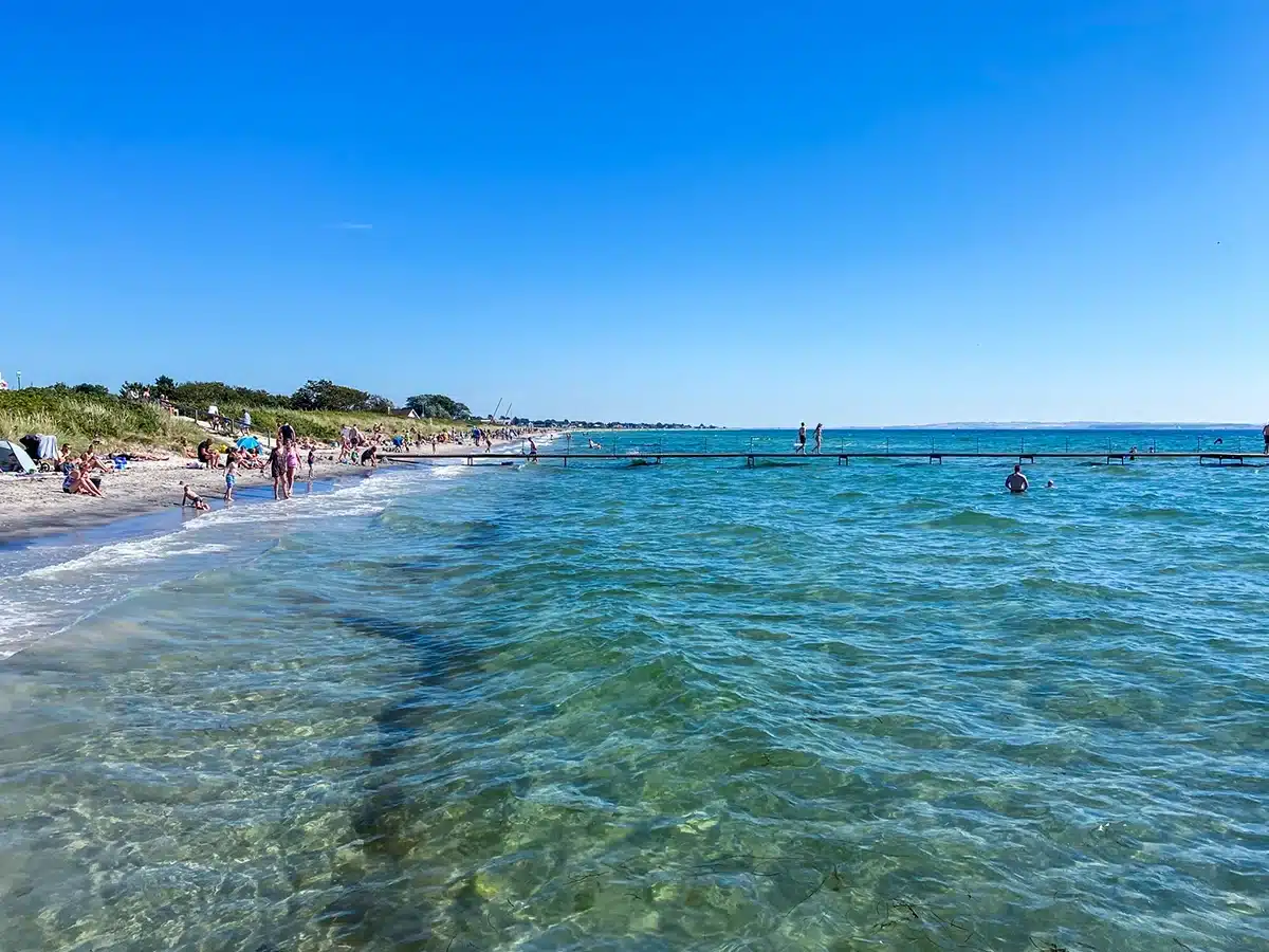 Bellevue Strand » Oplev en skøn sandstrand ved Risskov