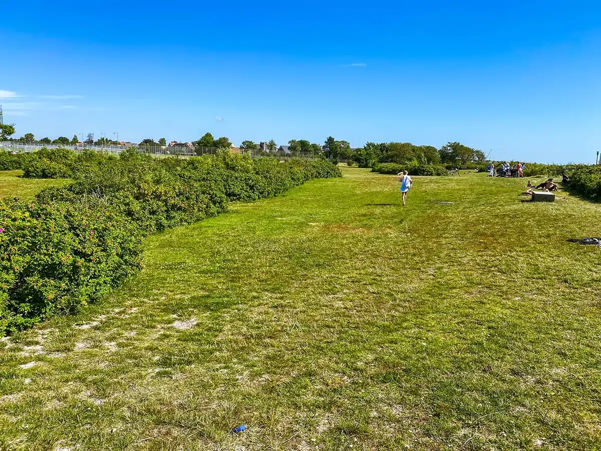 Bellevue Strand » Oplev en skøn sandstrand ved Risskov