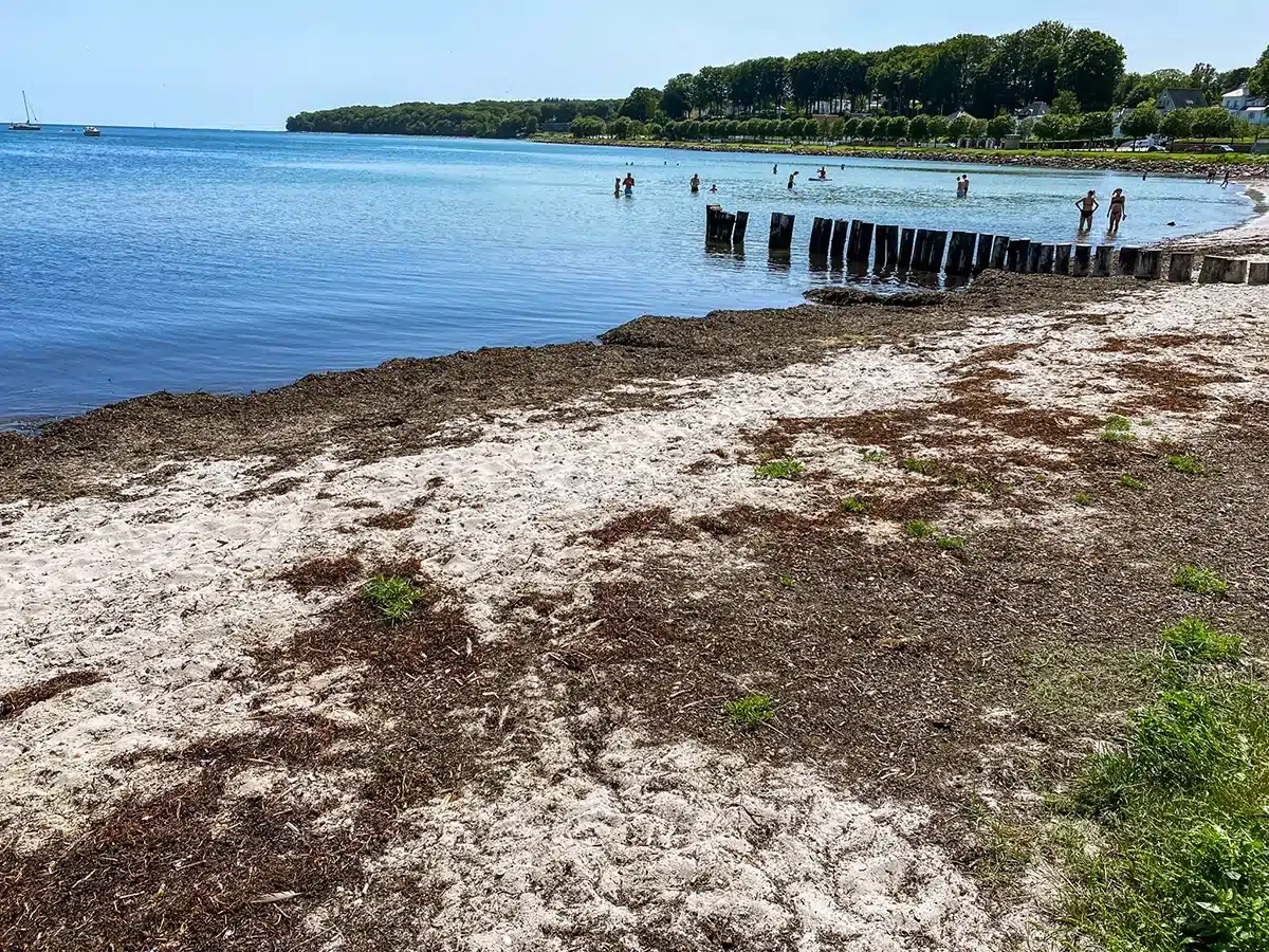 Tangkrogen en Aarhus está lleno de experiencias » Inspírate