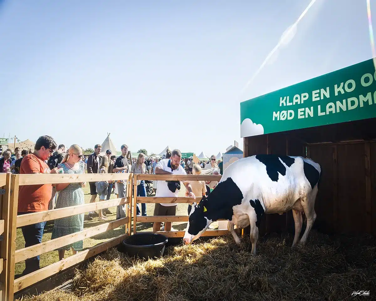 Food Festival Aarhus – Denmark's largest food festival