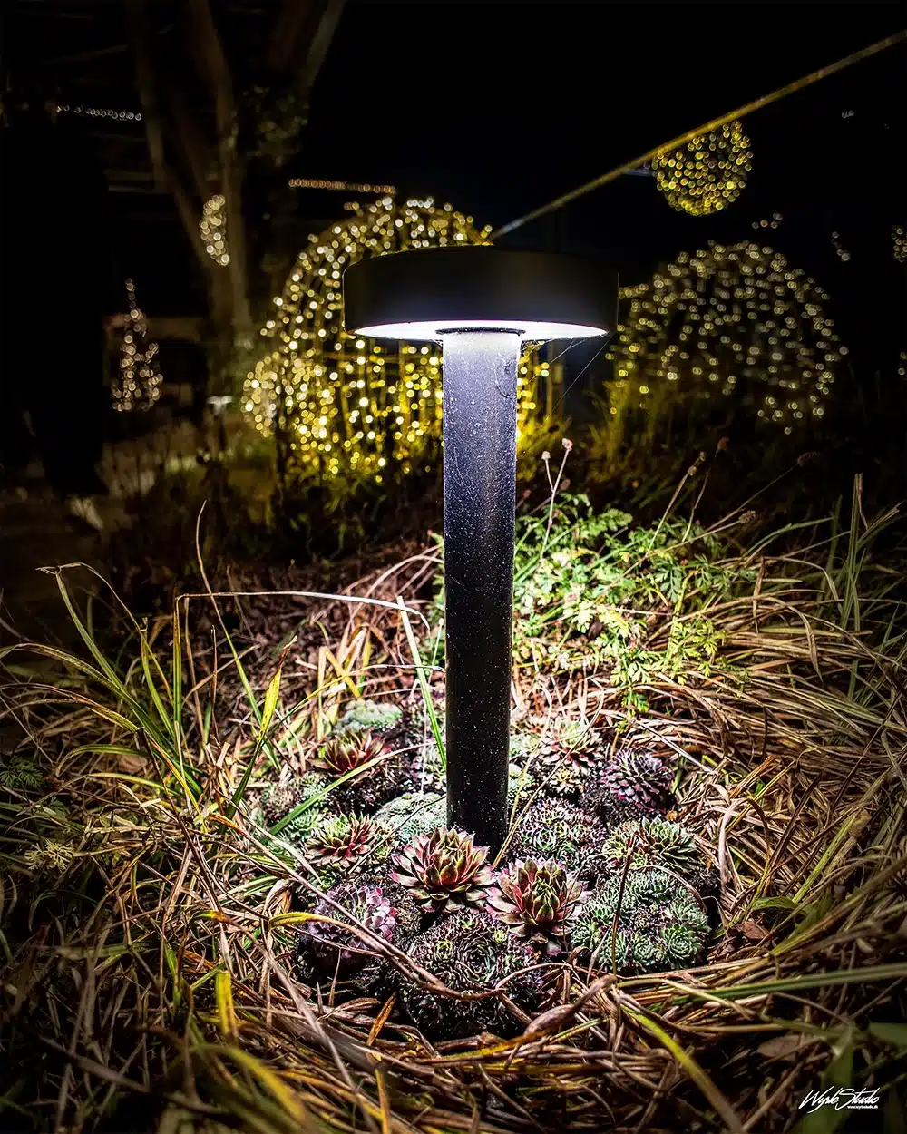 Salling Christmas Garden. Magical Christmas Garden on the Rooftop