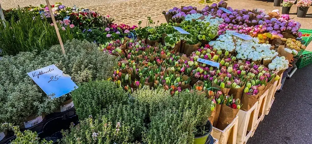 Ingerslev Boulevard marked i Århus ♥ Oplev markedet her