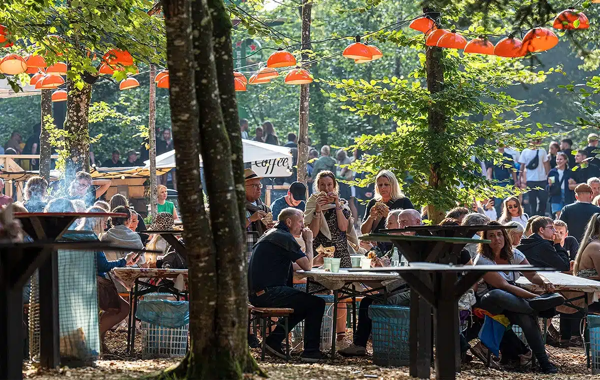 Smukfest: Oplev Danmarks bedste musikfestival i bøgeskoven